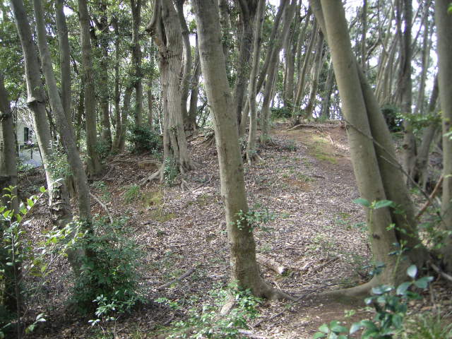 今宿古墳群と今山: あめのみささぎ